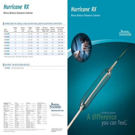 Hurricane detail brochure | PDF