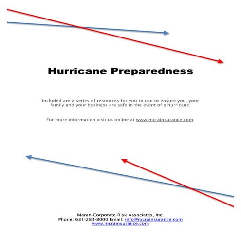 Hurricane preparedness white paper | PDF