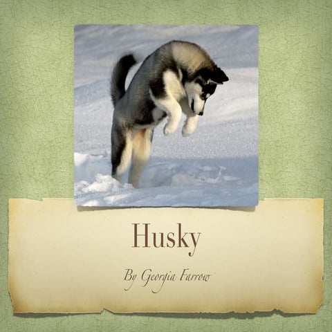 Husky 1 | PDF