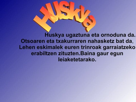 Huskya.auritz | PPT