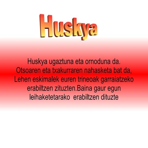 Huskya.auritz | PPT