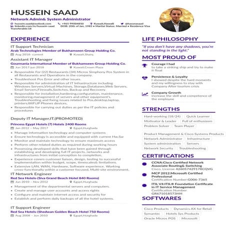 Hussein Saad | PDF