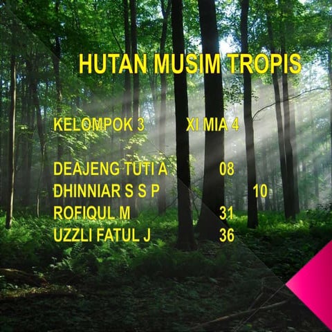 Hutan Musim Tropis | PPTX