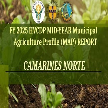 HVCDP-MID-YEAR-MAP-REPORT FY 2025 HVCDP-MID-YEAR-MAP-REPORT FY 2025 ...