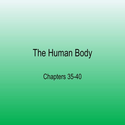 The human body | PPT