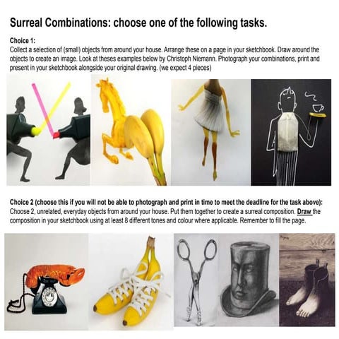 Metamorphosis scheme of work, Surreal Combinations | PPTX