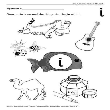 Worksheets i i | PDF