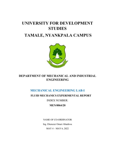 Reynolds Number Final Report in LAB 1 | DOCX