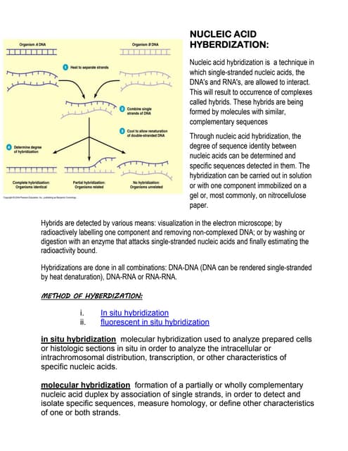 How to design a DNA primer on NCBI.pptx