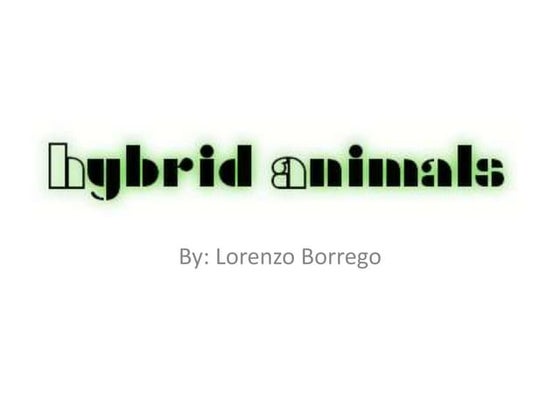 Hybrid animals (stuart preston) | PDF