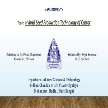Hybrid Seed Production of Castor.pptx