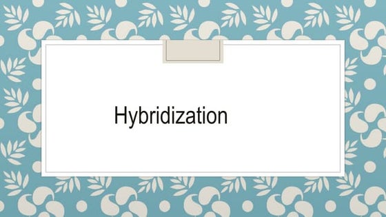 Hybridization Techniques in Crop Improvement | PDF
