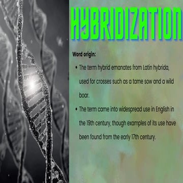 Hybridization | PDF