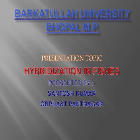Hybridization in fishes | PPTX