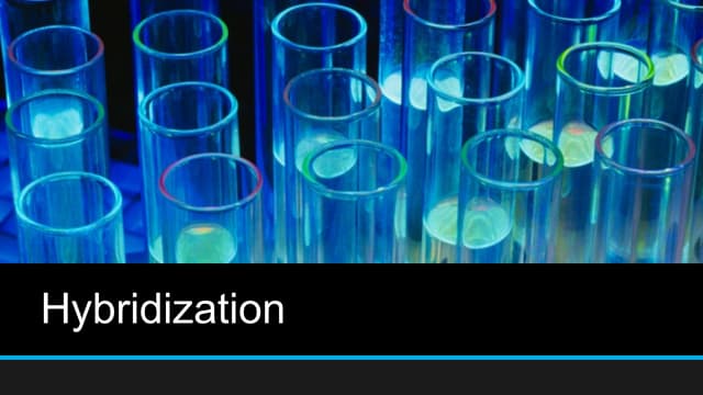 Hybridization-2 | PPTX