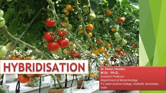 Hybrid breeding in plants | PPTX | Gardening | Home & Garden