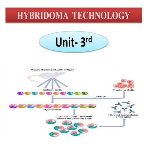 Hybridoma Technology | PPTX
