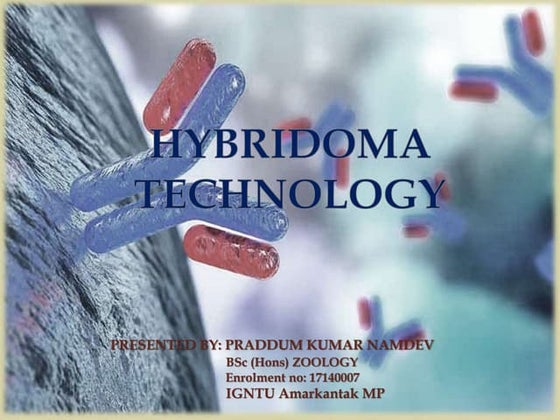 Monoclonal antibodies | PPTX | Chemistry | Science