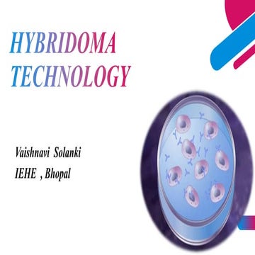 Hybridoma technology | PPTX
