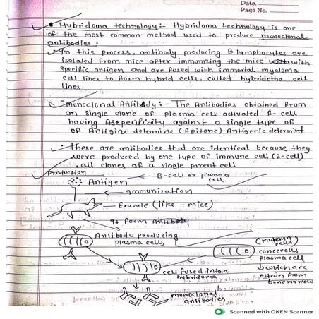 hybridoma technology biotechnology 6th semester.pdf
