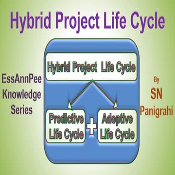 Hybrid Project Life Cycle - By SN Panigrahi | PDF
