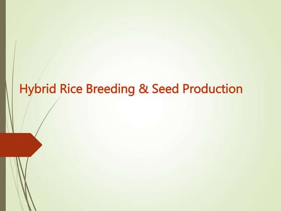A,B& R LINE DEVELOPMENT IN HYBRID SEED PRODUCTION | PPTX