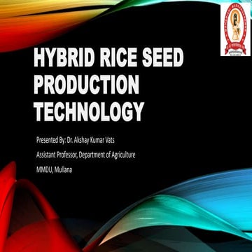 Hybrid Rice seed Production by Dr. Akshay Kumar Vats.pptx