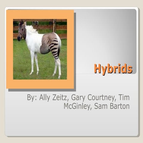 Hybrids | PPT