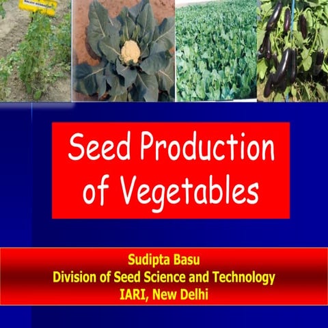 HYbrid seed production in veg (com.pdf