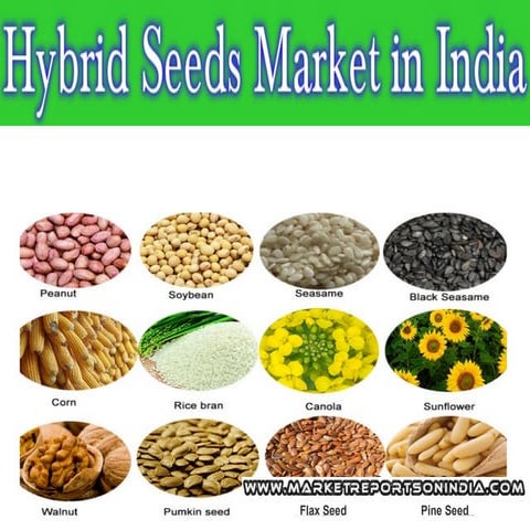 Hybrid seeds market in india | PPT