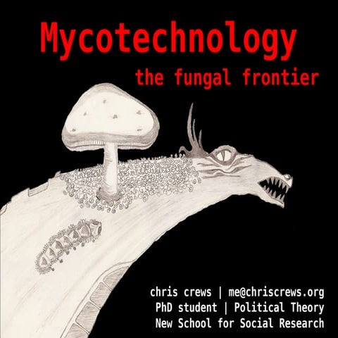 Fermentation Process – Types, Microorganisms, and Applications | PDF