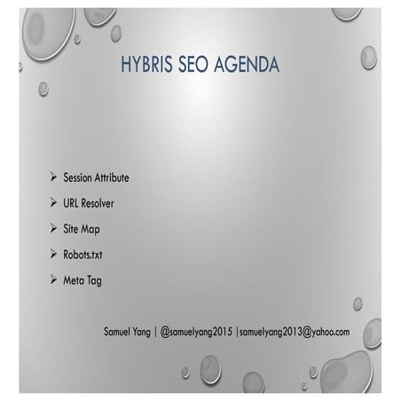 hybris SEO Feature and Guide | PDF | Web Development | Internet