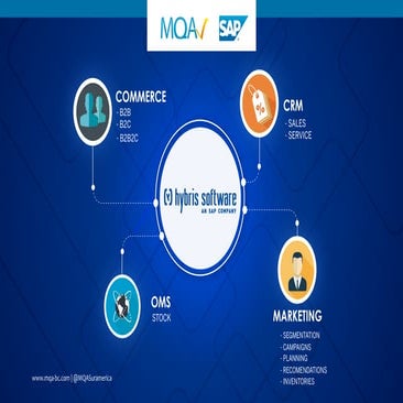 SAP Hybris Software | PDF | Business | Business and Finance