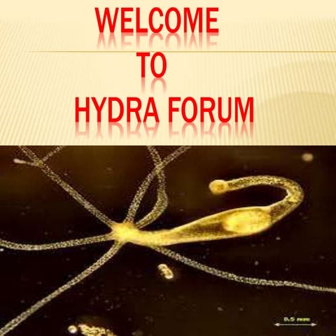 Hydra forum | PPTX