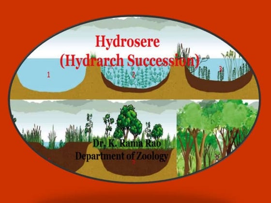 Lesson 1.pptx What is a Natural Resource? | PPT