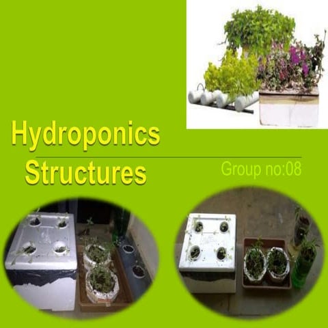 Hydroponic structures | PPTX | Agriculture | Industries