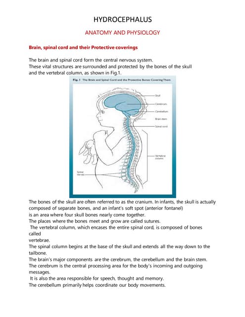 Top 5 symptoms and causes of hydrocephalus | PPT