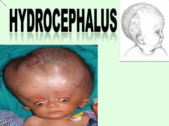 contemporary task oriented approach.pptx