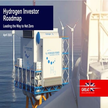 hydrogen-investor-roadmap.pdf