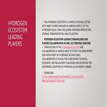 Hydrogen Ecosystem Leading Players.pptx