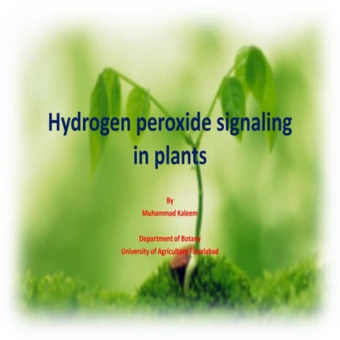 Hydrogen per oxide signaling in plants | PPTX