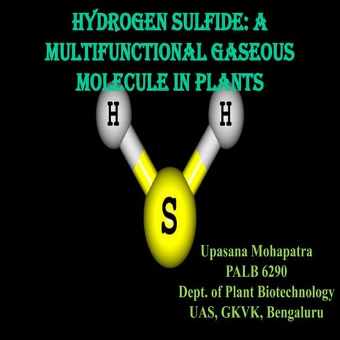 Hydrogen sulfide as multifunctional gaseous molecule | PPT