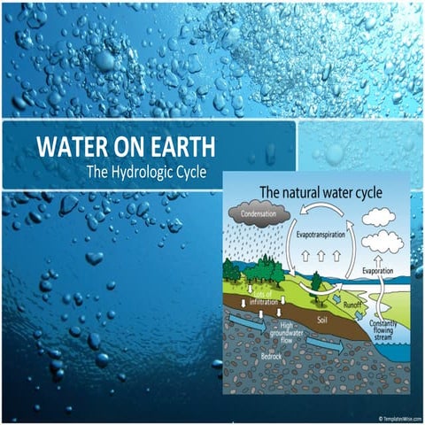 The Hydrologic Cycle | PPT