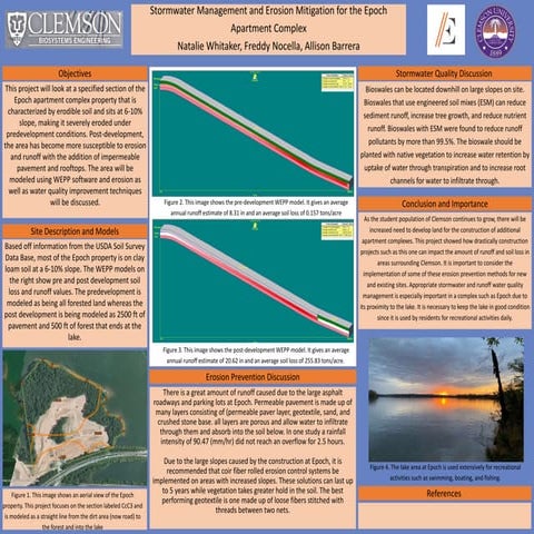 Kocuria Rhizophila.pptx