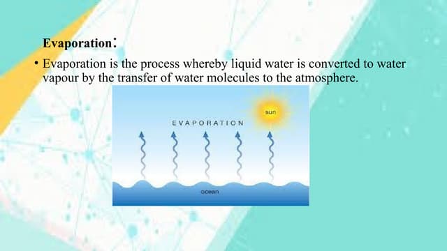 Evaporation, transpiration and evapotranspiration | PPT