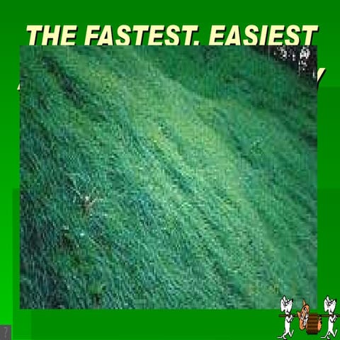 Hydro Mulch Seeding | PPT