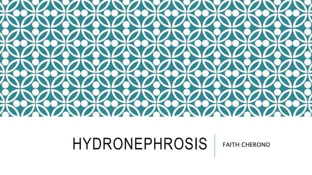 Hydronephrosis Pptx