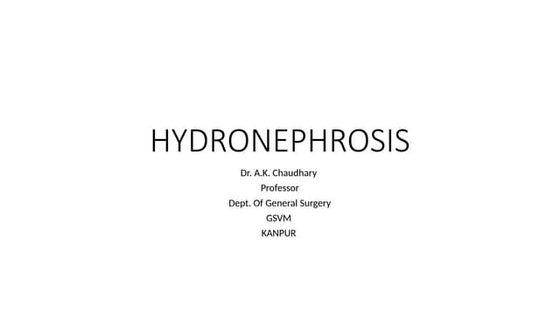 Hydronephrosis disease presentation for nurse | PPT