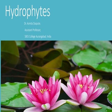 Hydrophytes | PDF