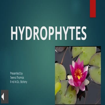 Hydrophyteswaterplantsnaturalscience.pptx